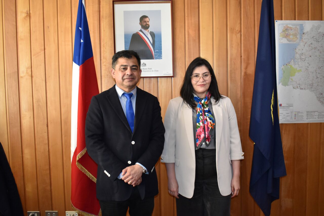 Ex directora regional de Aguas, Francisca Vergara fue presentada como nueva seremi de Obras ...